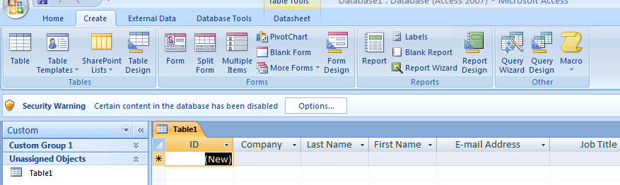Ribbon in Microsoft Access 2007 Ribbon in Microsoft Access 2007
